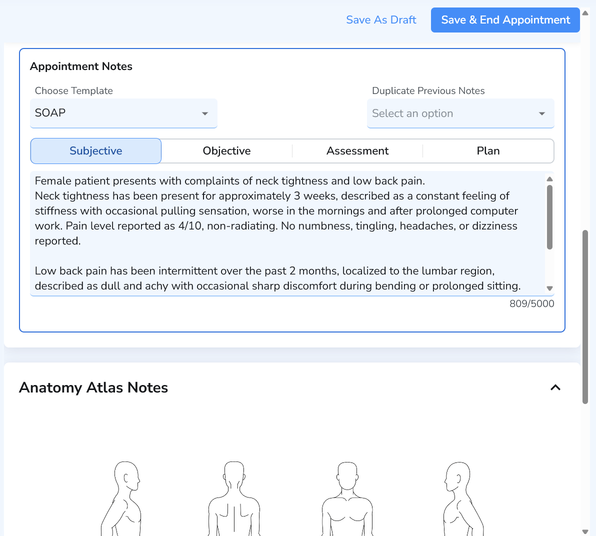 SOAP Notes for Massage Therapy: Examples + Free Templates